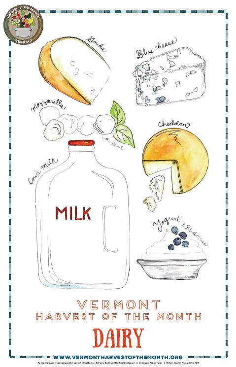 June Harvest of the Month: Dairy – Charlotte Seed Library