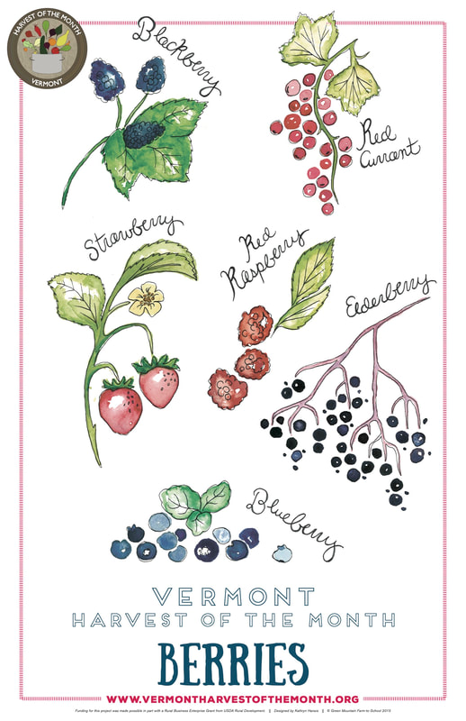 August Harvest of the Month: Berries – Charlotte Seed Library