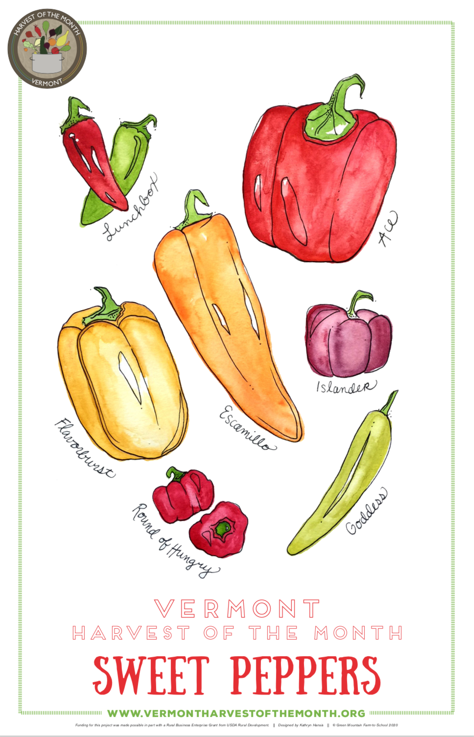 September Harvest of the Month: Peppers – Charlotte Seed Library