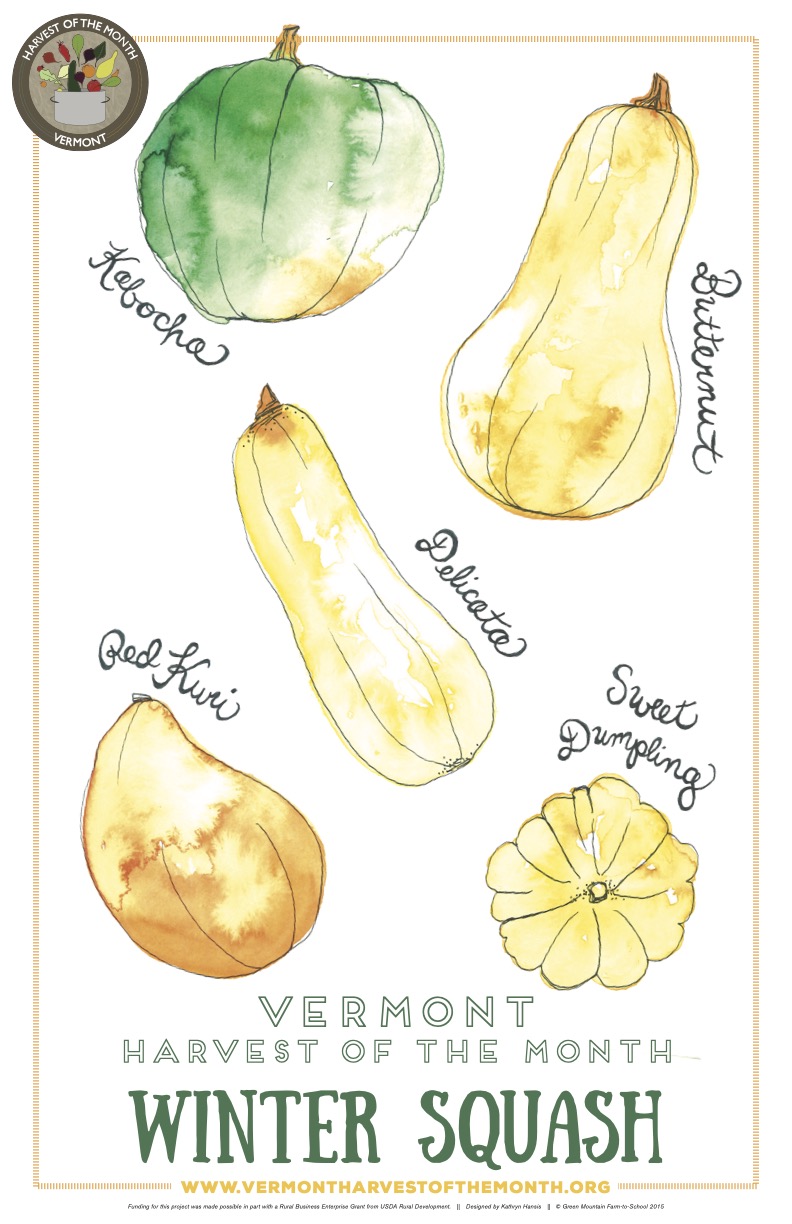 Harvest of the Month: November 2025 – Charlotte Seed Library